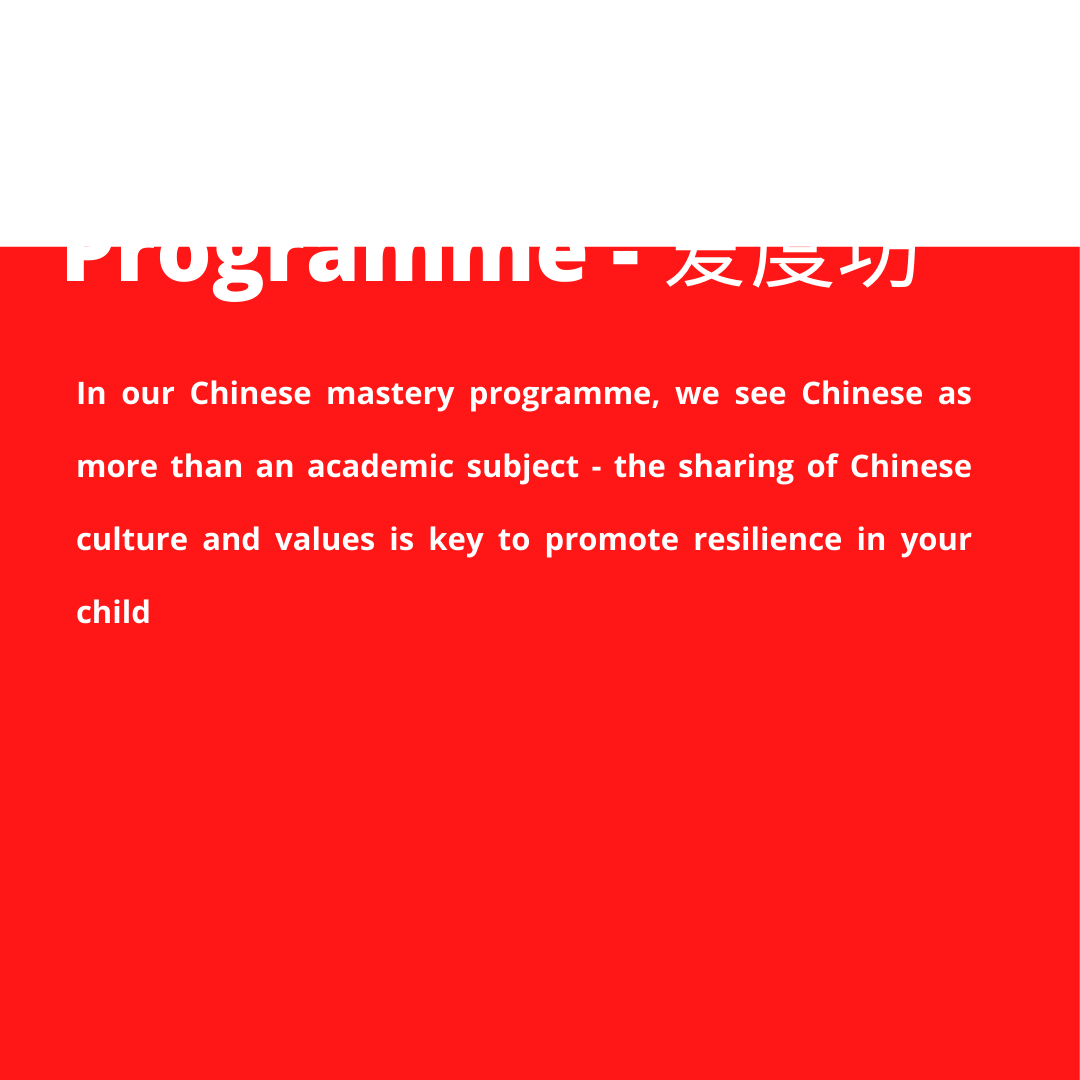 Chinese Mastery Programme | Edufront Learning Centre