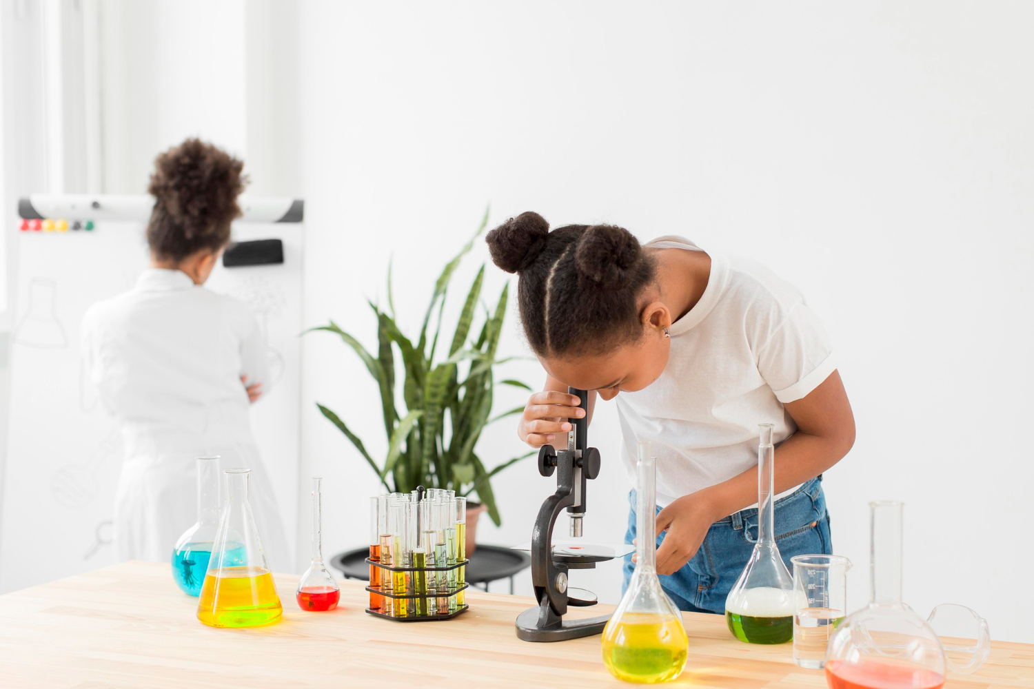 Best Primary Science Tuition Centre | Singapore | Edufront Learning Centre