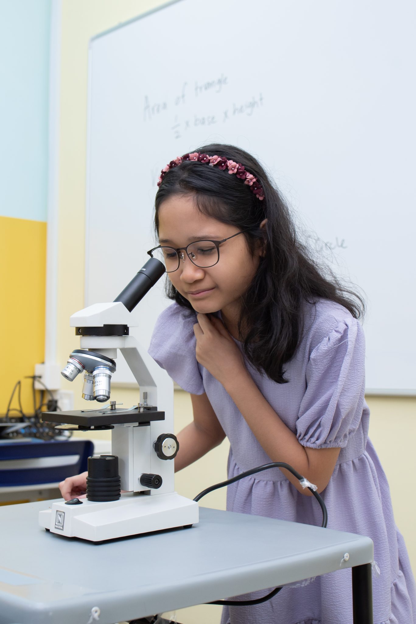 What Do Children Learn in Primary Science | Edufront Learning Centre